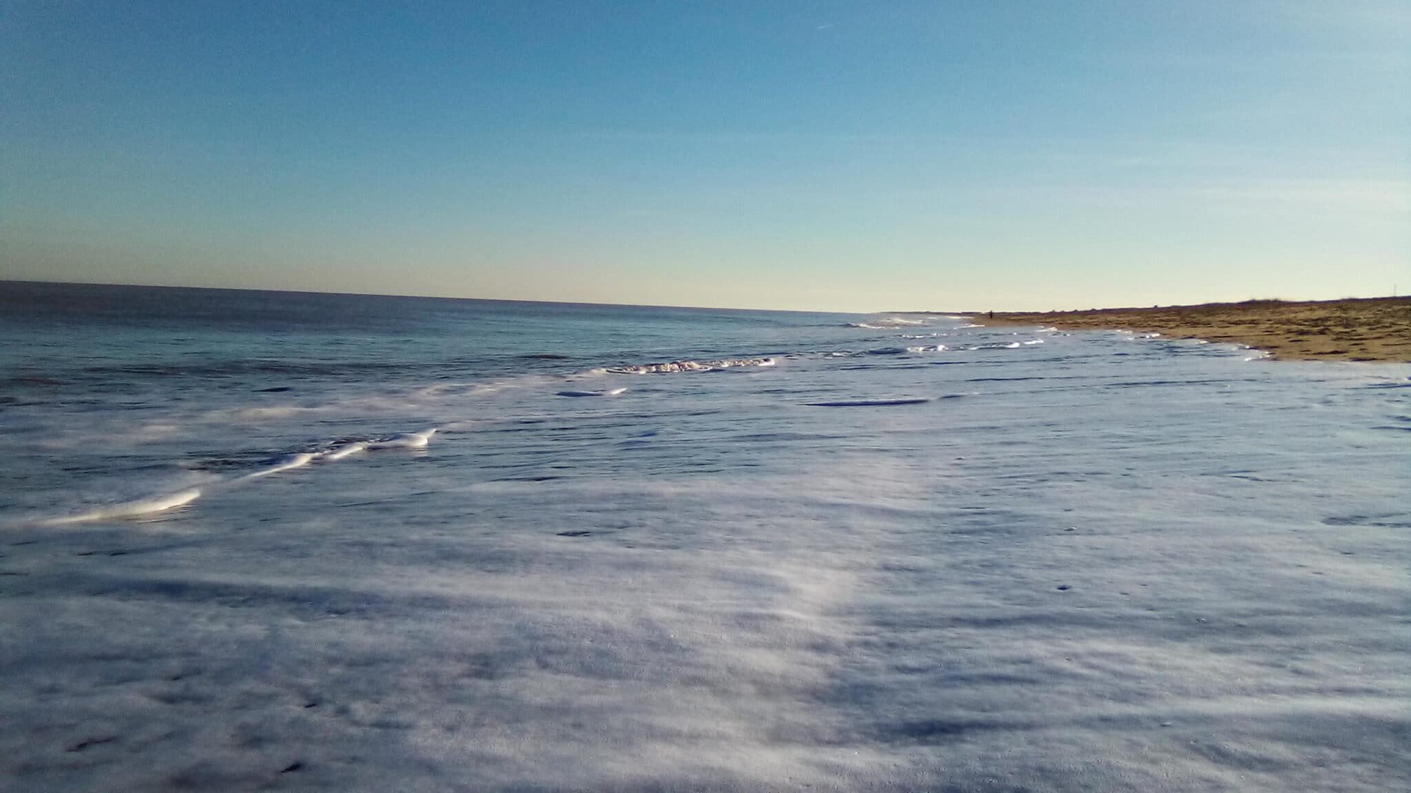 Coastal stories from Sutton-on-Sea - Local Trust